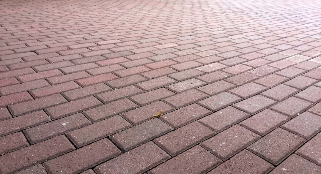 101 Paving Block Designs - Jual Paving Block Berkualitas Indonesia